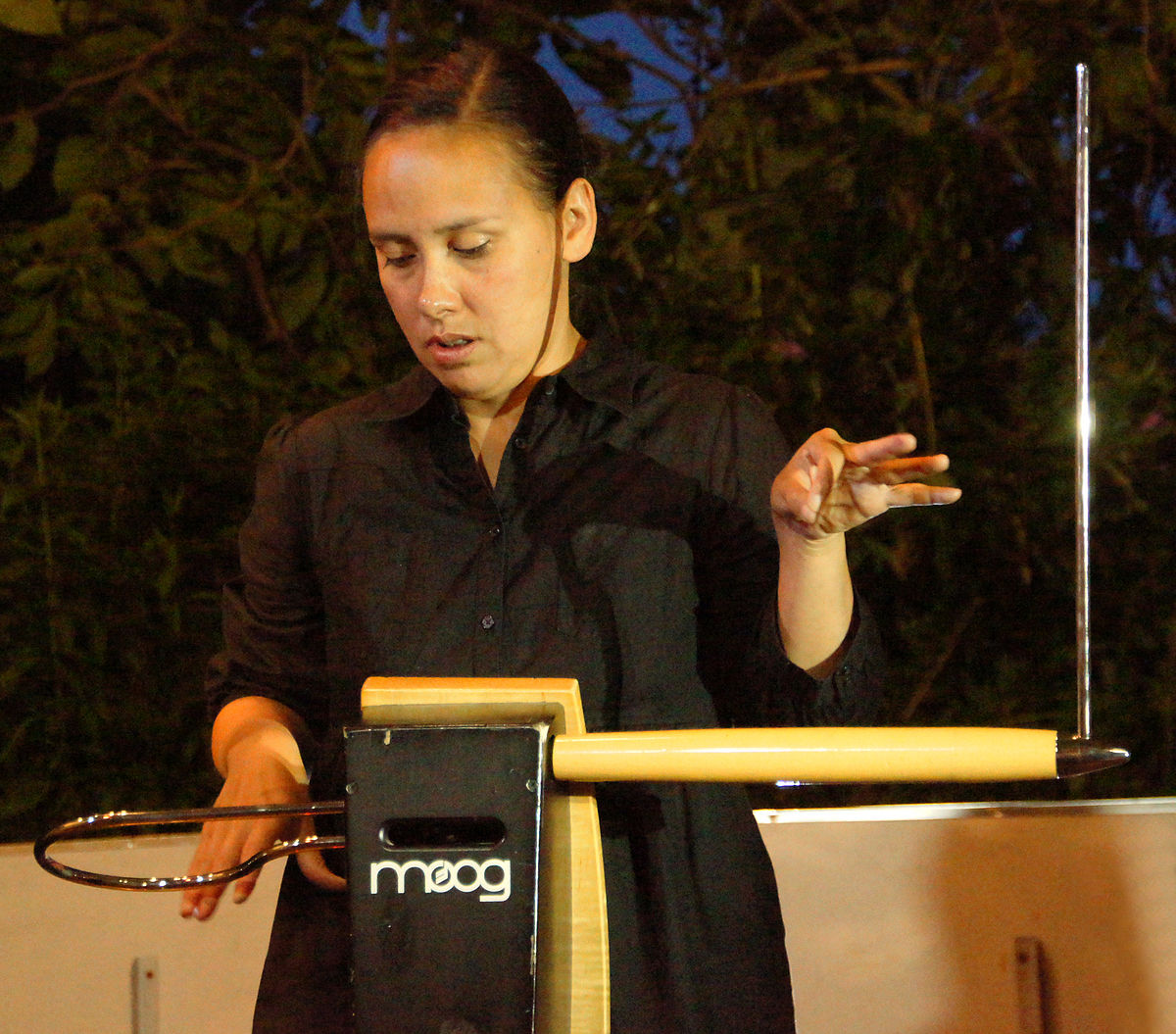 Friday concert will feature Pamelia Stickney, Brian Dewan | News ...